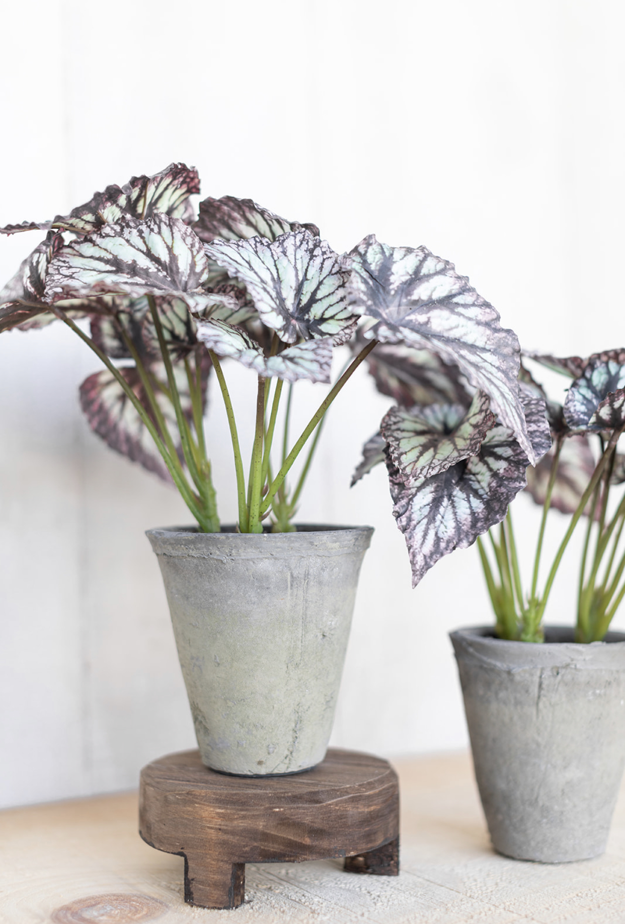 How to Use Decorative Risers - Showit Blog